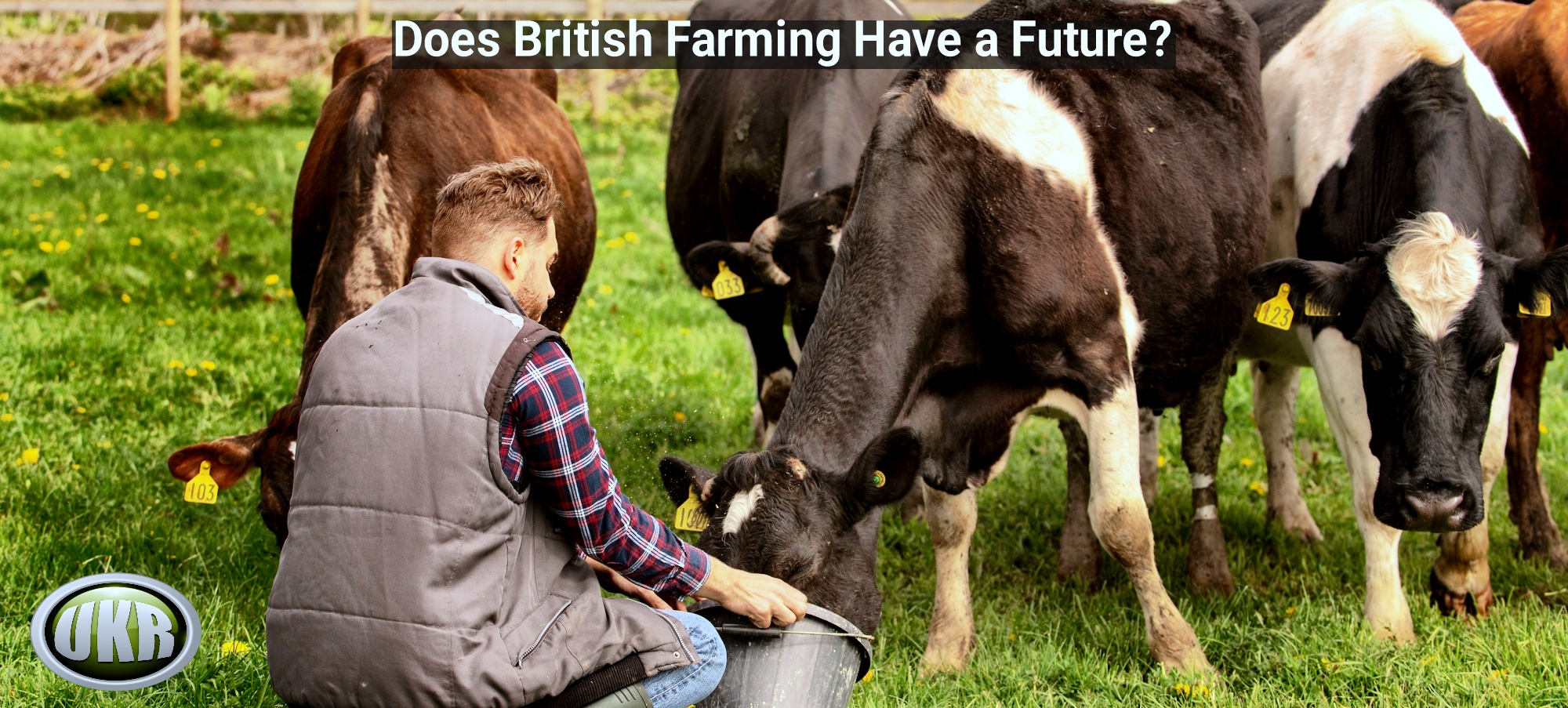 Does British Farming Have a Future? | UK Reloaded