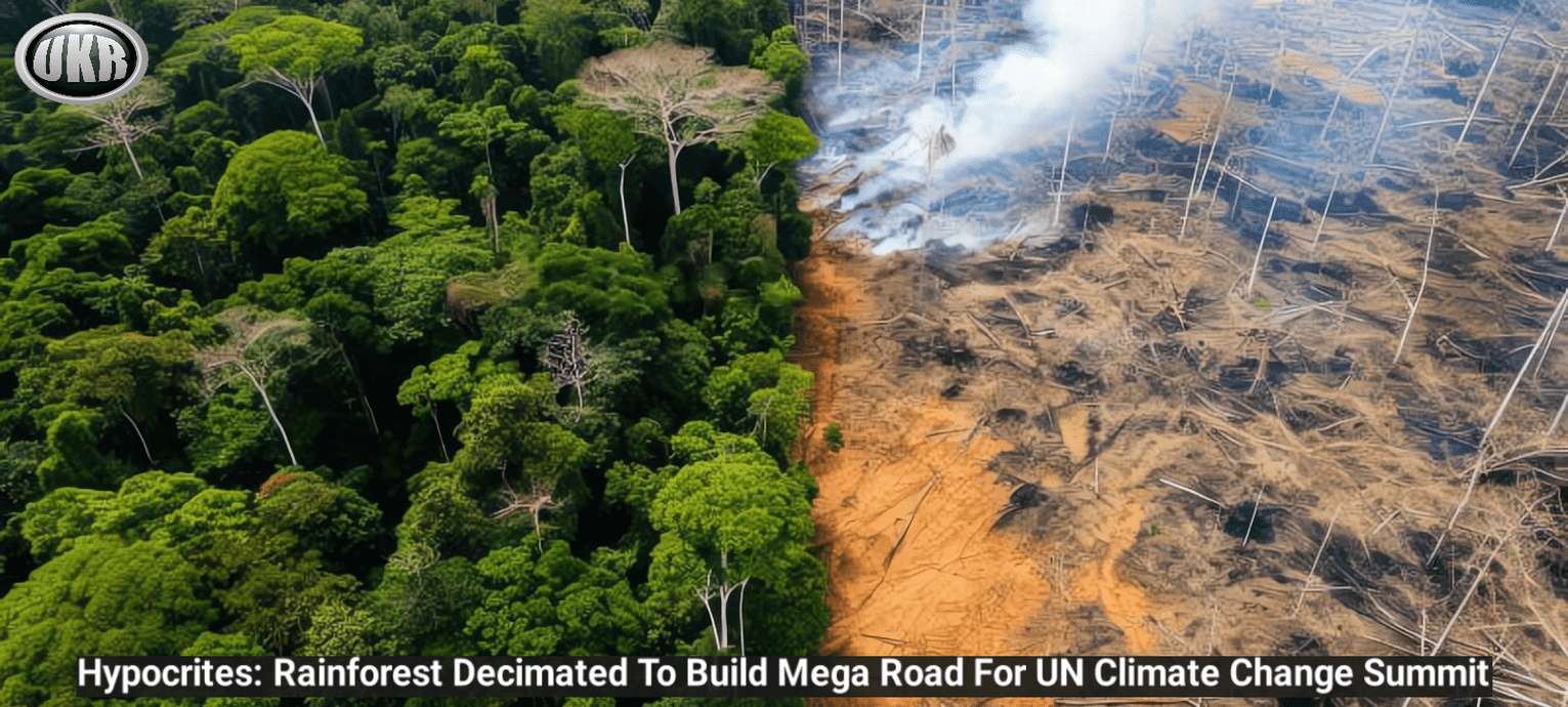 Hypocrites: Rainforest Decimated To Build Mega Road For UN Climate ...