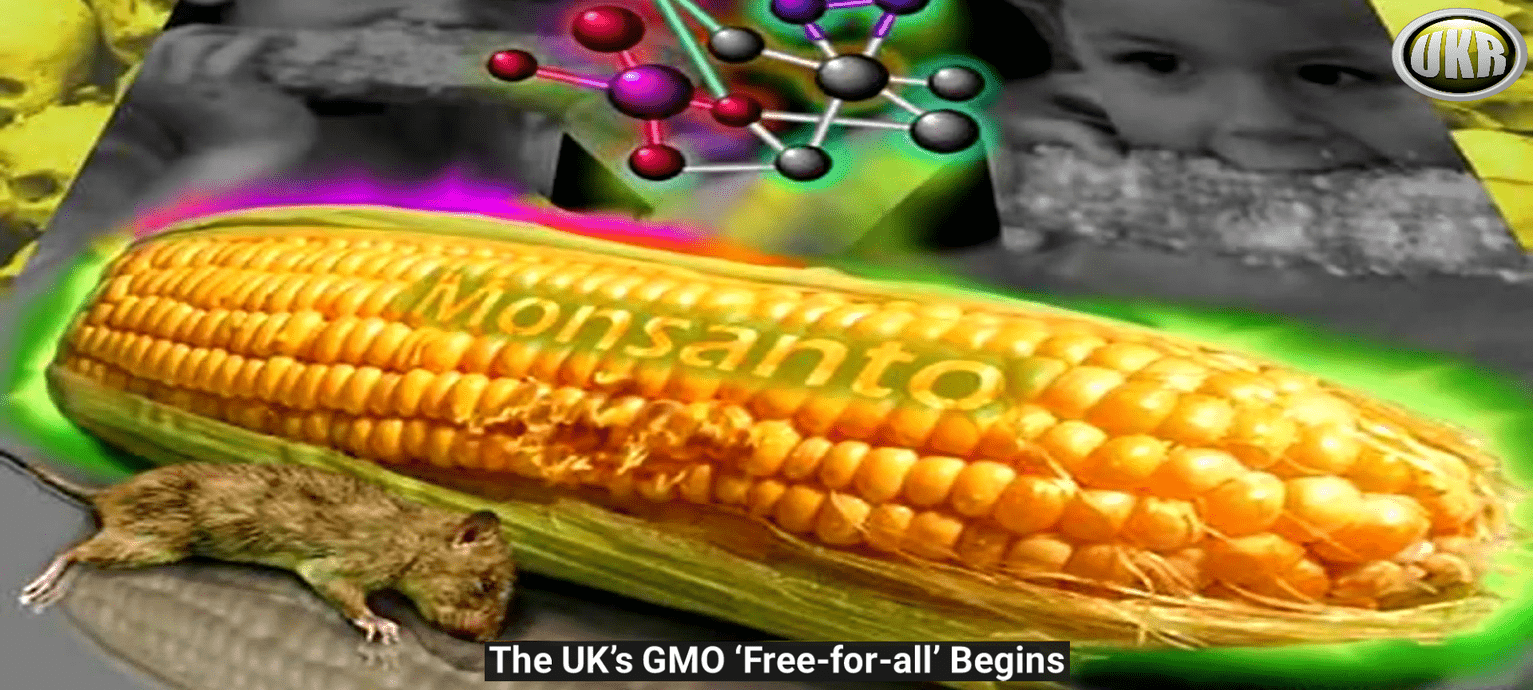 The UK’s GMO ‘Free-for-all’ Begins | UK Reloaded