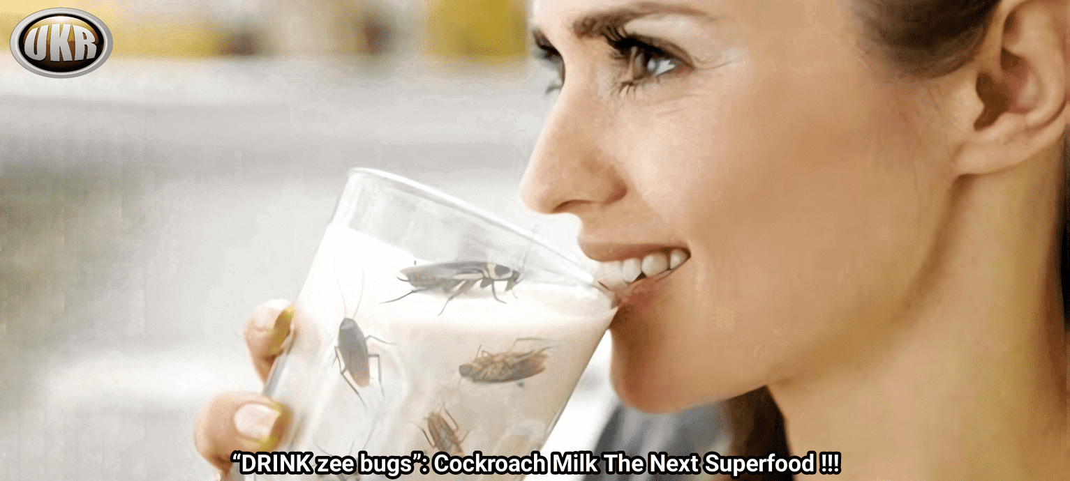 "DRINK zee bugs": Cockroach Milk The Next Superfood !!! | UK Reloaded