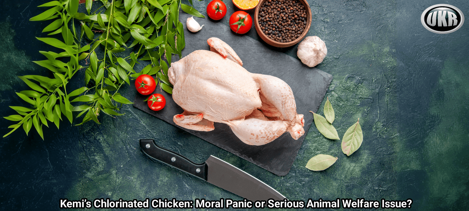Kemi’s Chlorinated Chicken: Moral Panic or Serious Animal Welfare Issue ...