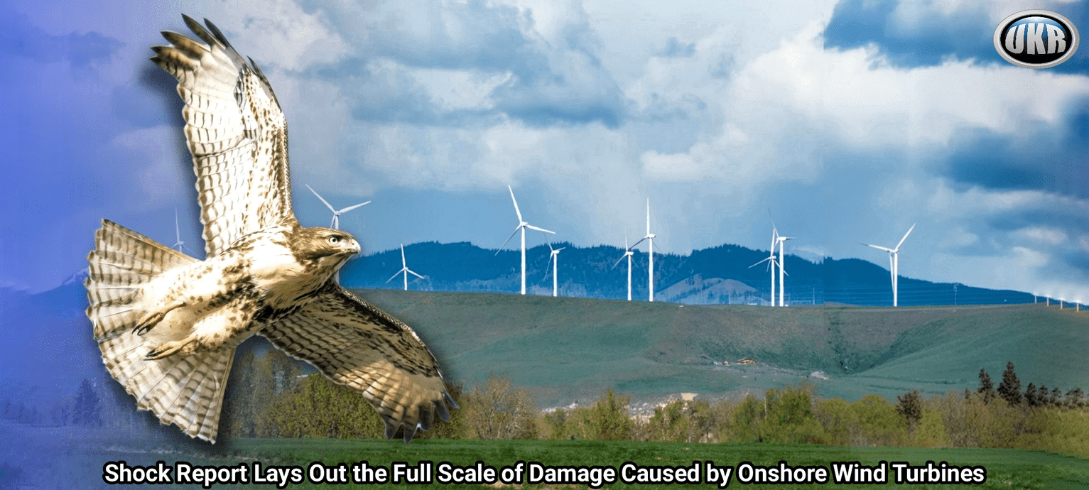 Shock New Report Lays Out the Full Scale of Environmental Damage Caused ...