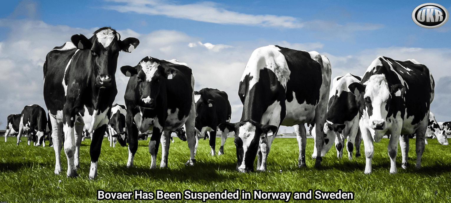 Bovaer Has Been Suspended in Norway and Sweden | UK Reloaded