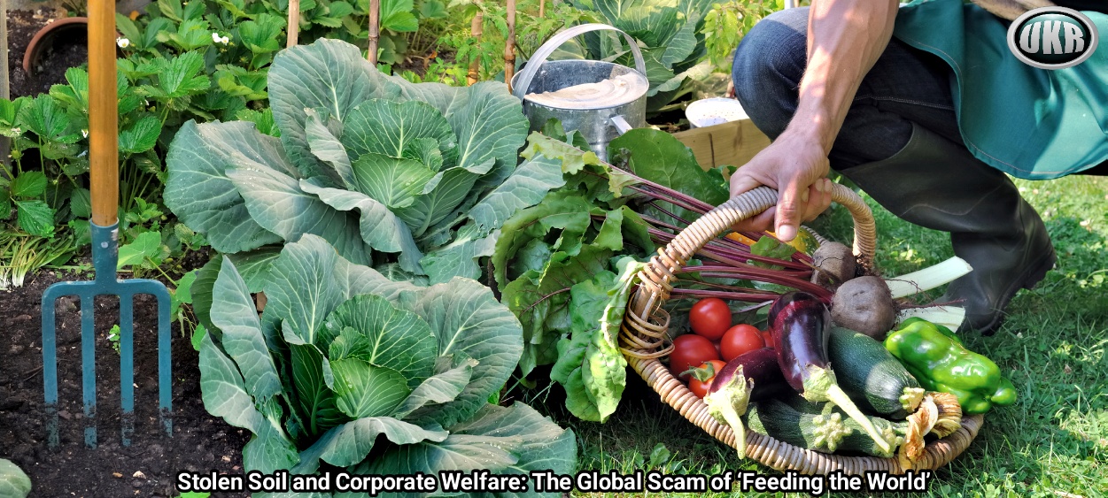 Stolen Soil and Corporate Welfare: The Global Scam of ‘Feeding the ...